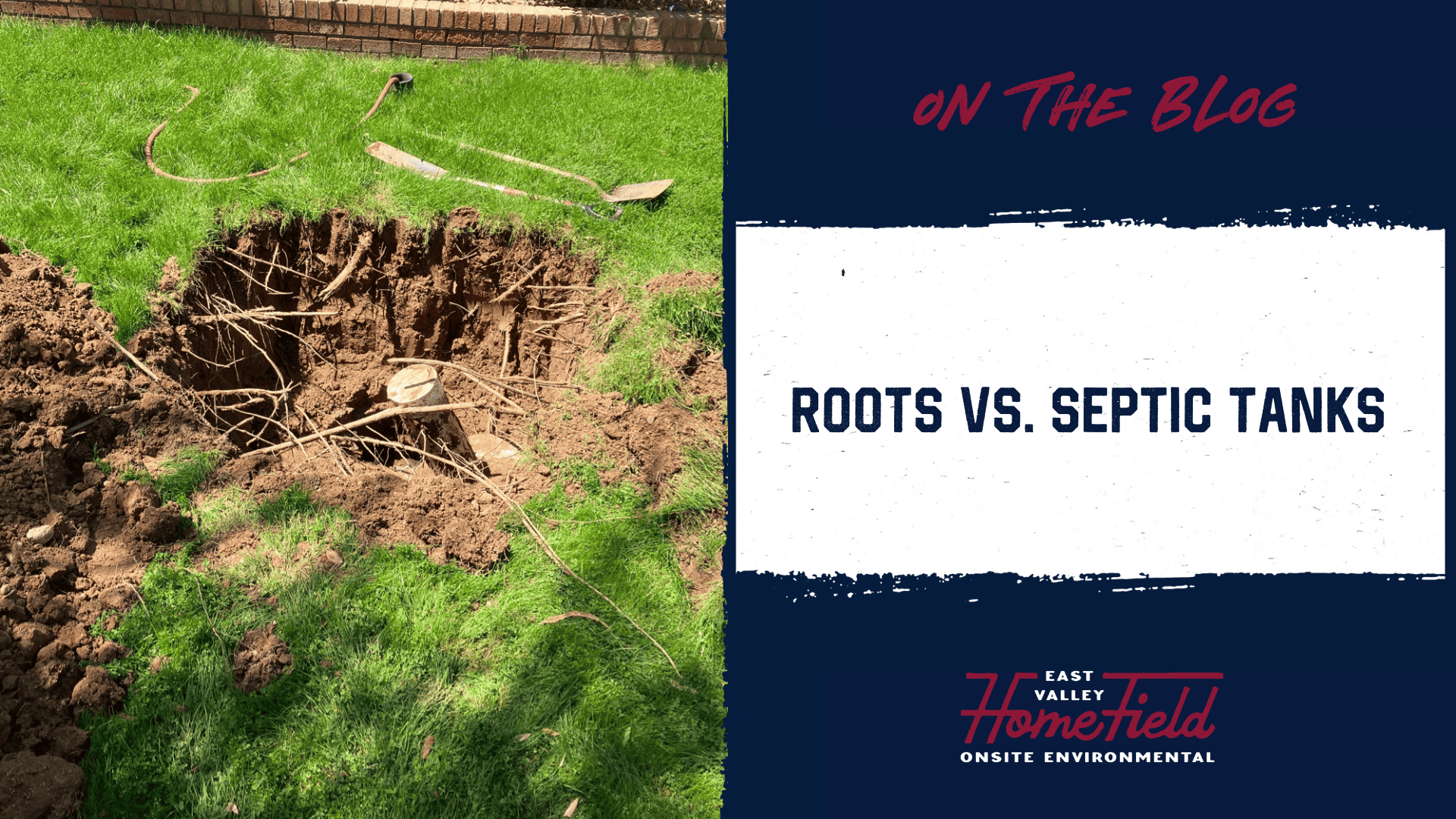 Roots VS. Septic Tanks - HomeField East Valley
